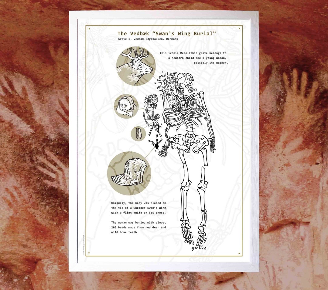 Archaeology Poster A2 A3, Swan Wing Burial Illustration, Vedbæk Finds ...