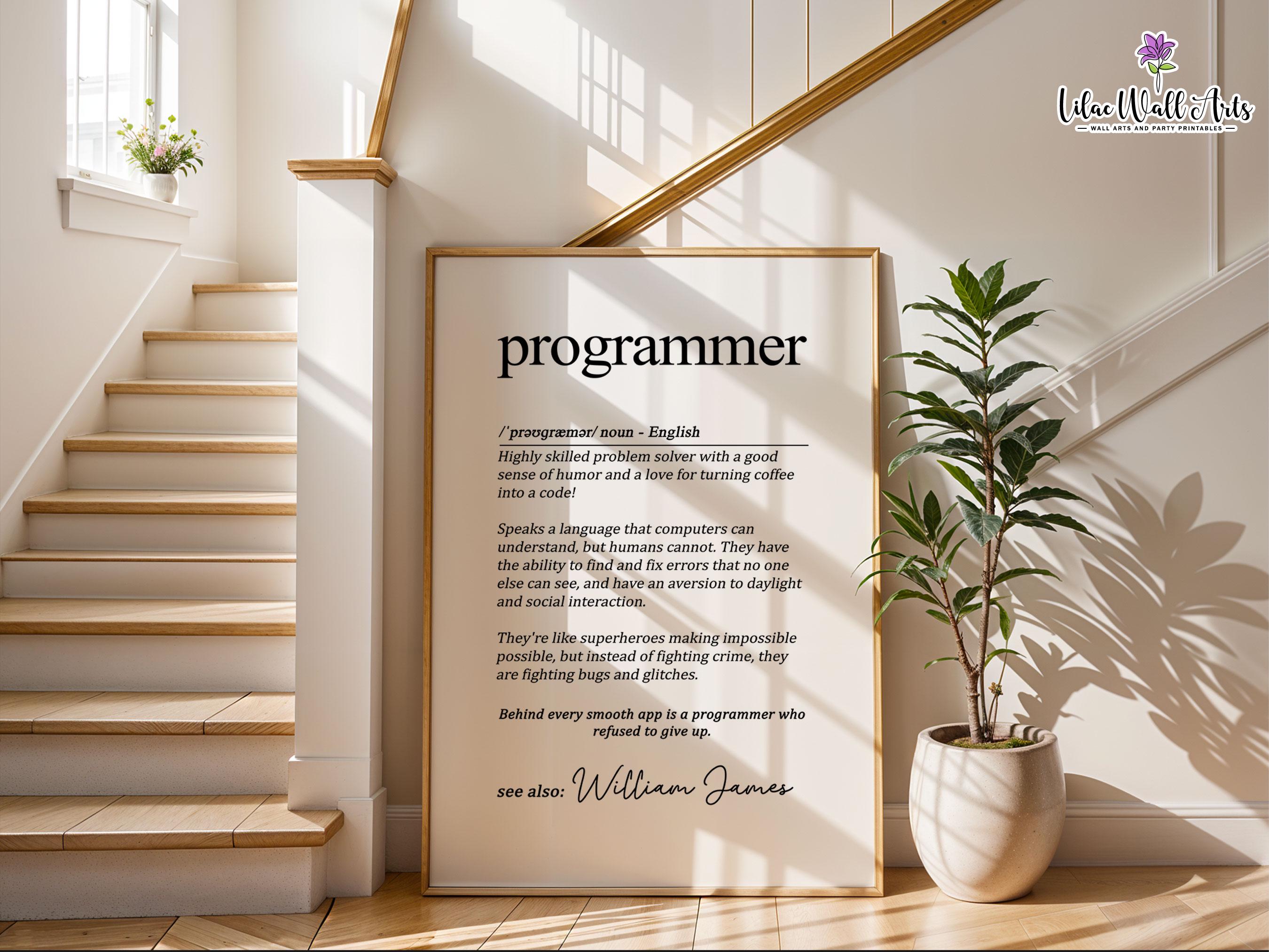 Programmer Definition Print: Software Engineer Gifts, Programmer Wall ...