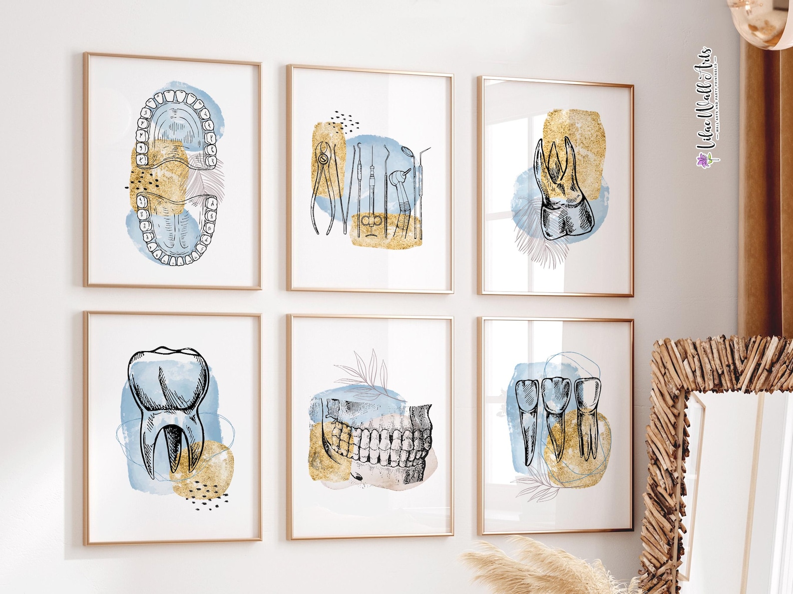 Dental Posters: Set of 6 Dental Anatomy Art Prints, Dentist Office ...