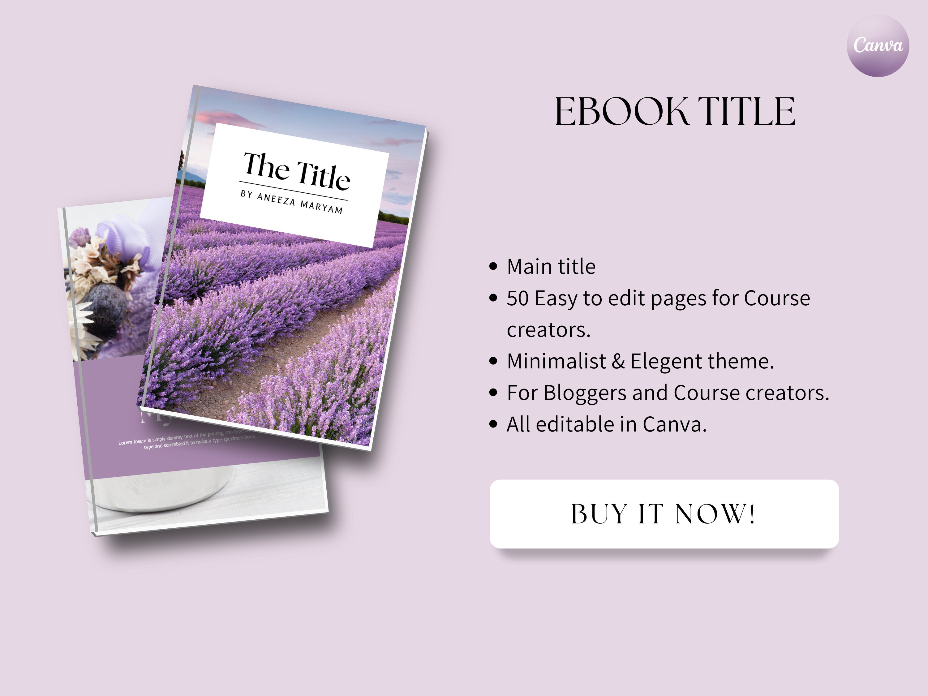 Editable Canva E Book Template, Workbook Template, Lead Magnet Canva ...