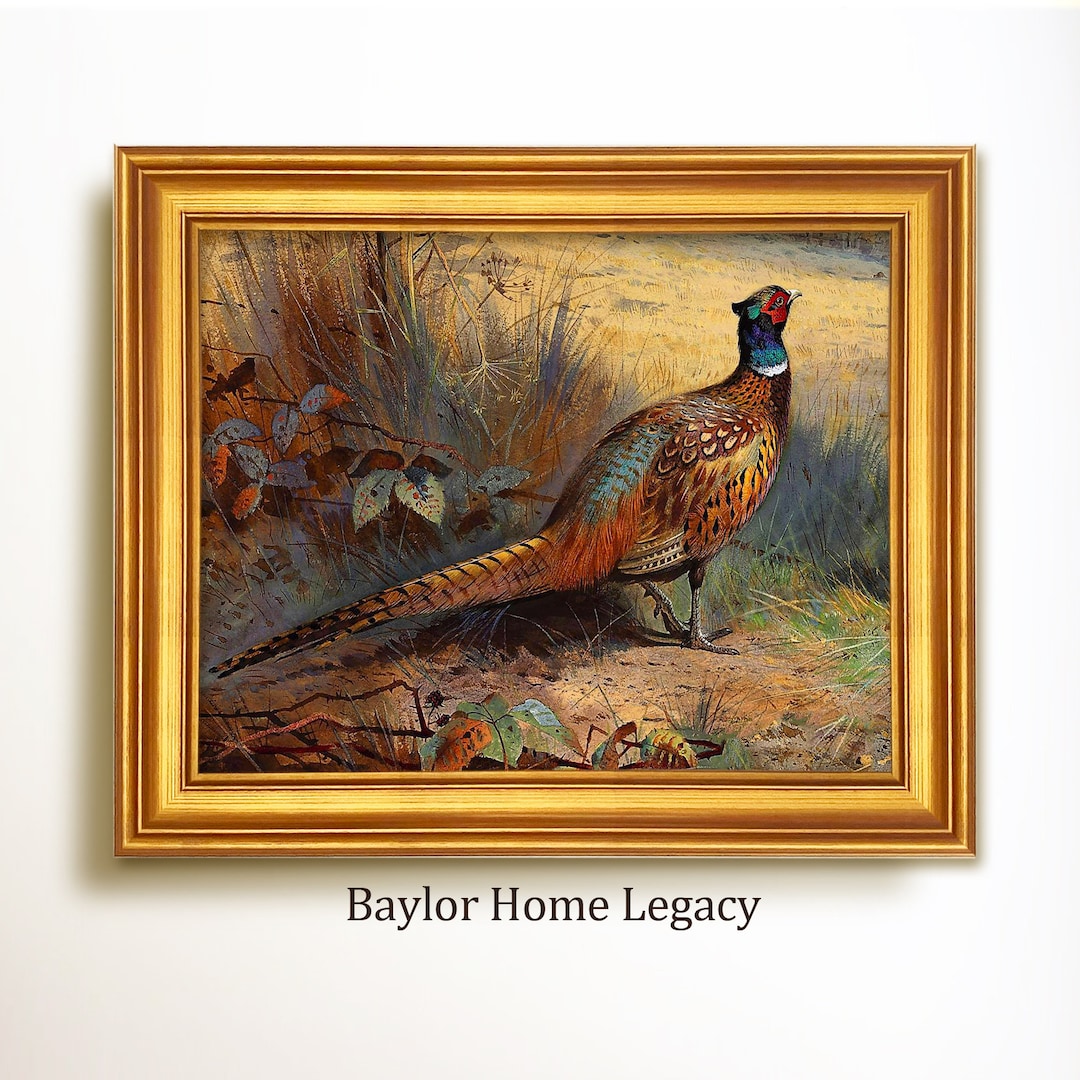Framed Ring-neck Pheasant in Landscape, Ringneck Pheasant Oil Painting ...