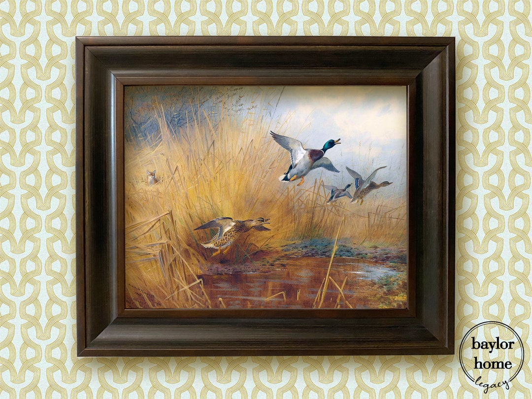 Framed Mallard Ducks and Fox Canvas Art Print, Vintage Wildlife Art ...