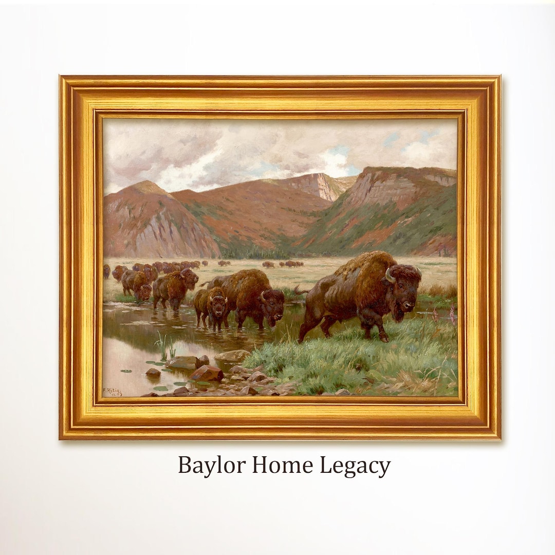 Framed Buffalo Oil Painting Print on Canvas, Framed Bison Canvas Art ...