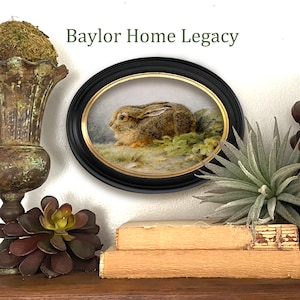 Framed Oval Rabbit Canvas Art Print of Antique Oil Painting, Bunny ...