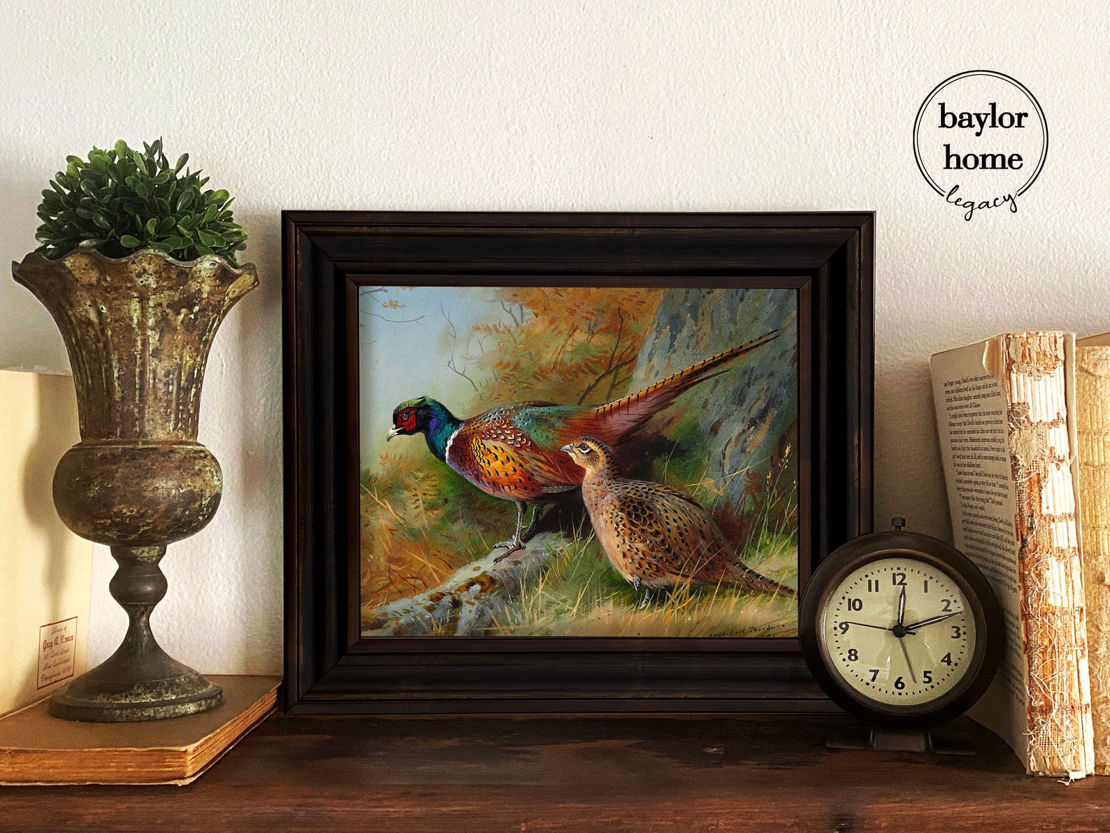 Framed Ring-neck Pheasants in Landscape Ringneck Pheasant - Etsy