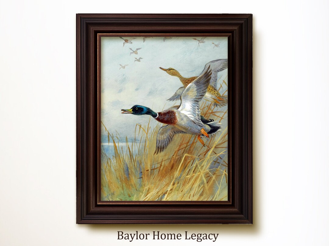 Framed Flying Pair of Mallard Duck Watercolor Painting Canvas Print ...