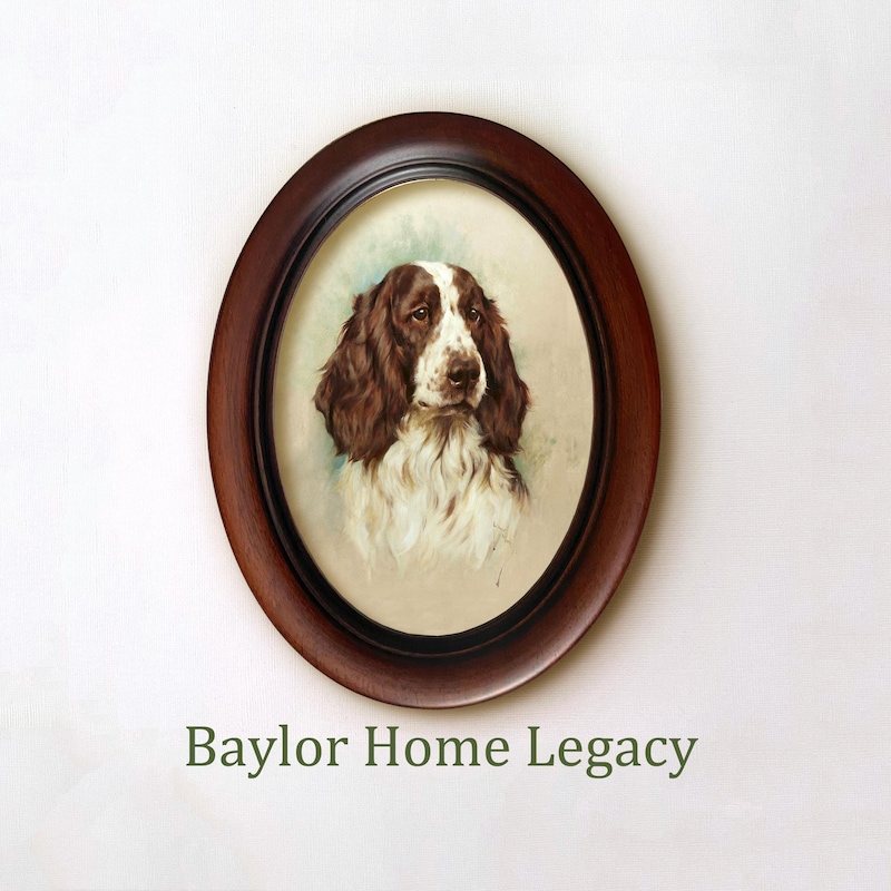 Antique Spaniel Photo - Etsy