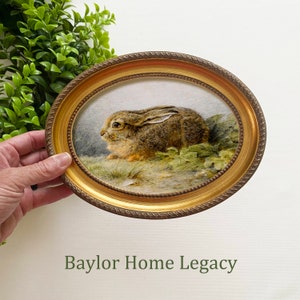 Framed Oval Rabbit Canvas Art Print of Antique Oil Painting, Bunny ...