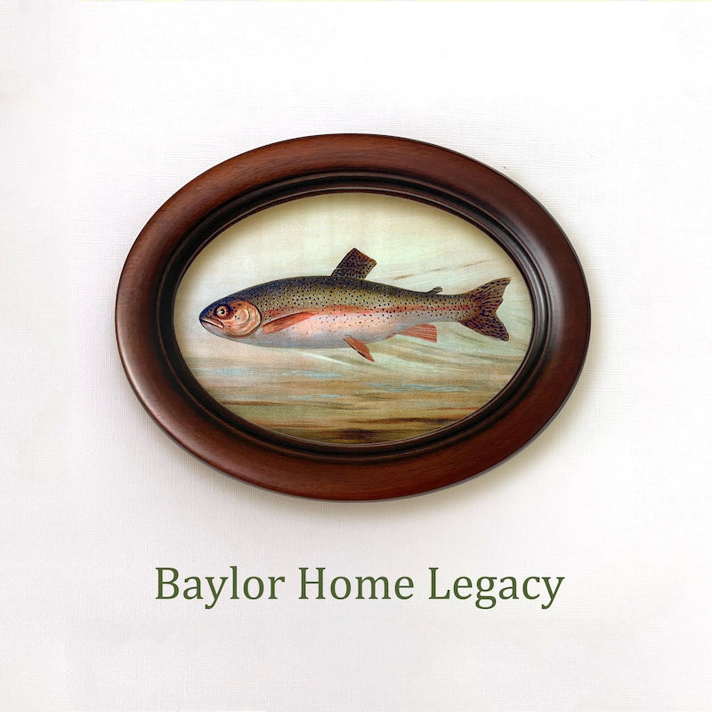 Small Fish in Gold Frame - Etsy