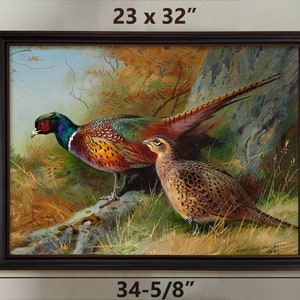 Framed Ring-neck Pheasants in Landscape Ringneck Pheasant - Etsy