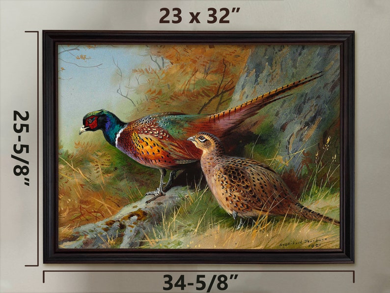 Framed Ring-neck Pheasants in Landscape Ringneck Pheasant - Etsy