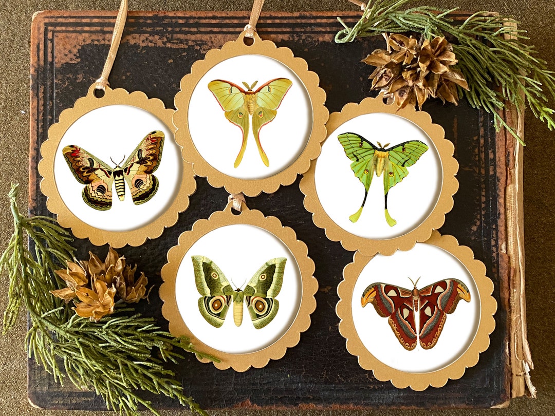 Set of 5 Unique Handmade Moth Ornaments for Tree, Nature Christmas ...