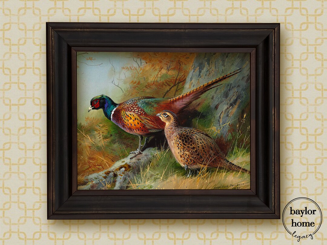 Framed Ring-neck Pheasants in Landscape Ringneck Pheasant - Etsy