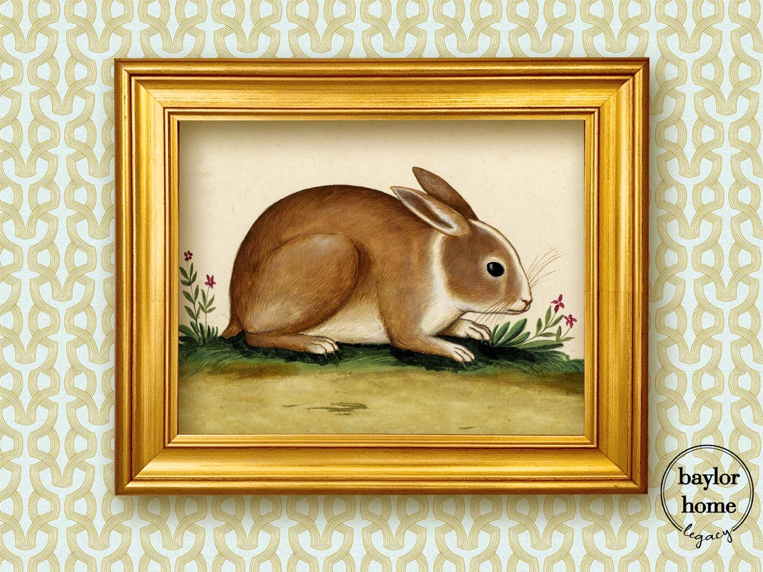 Framed Rabbit Painting Print on Canvas Vintage Bunny Print - Etsy