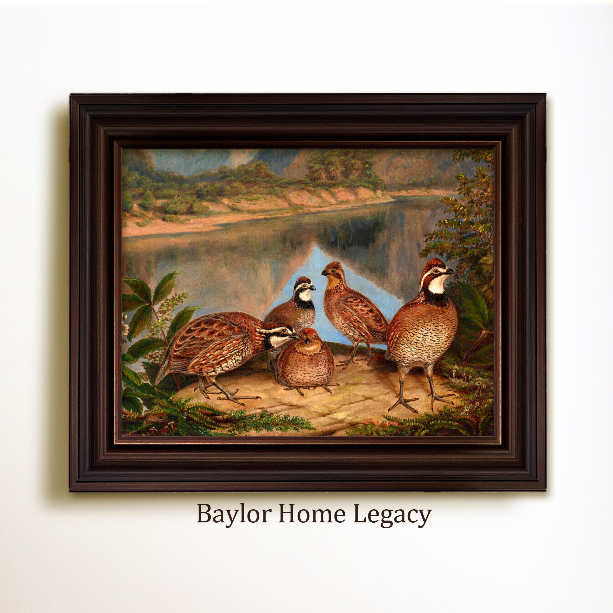 Framed Bobwhite Quail in River Landscape, Oil Painting Print on Canvas ...