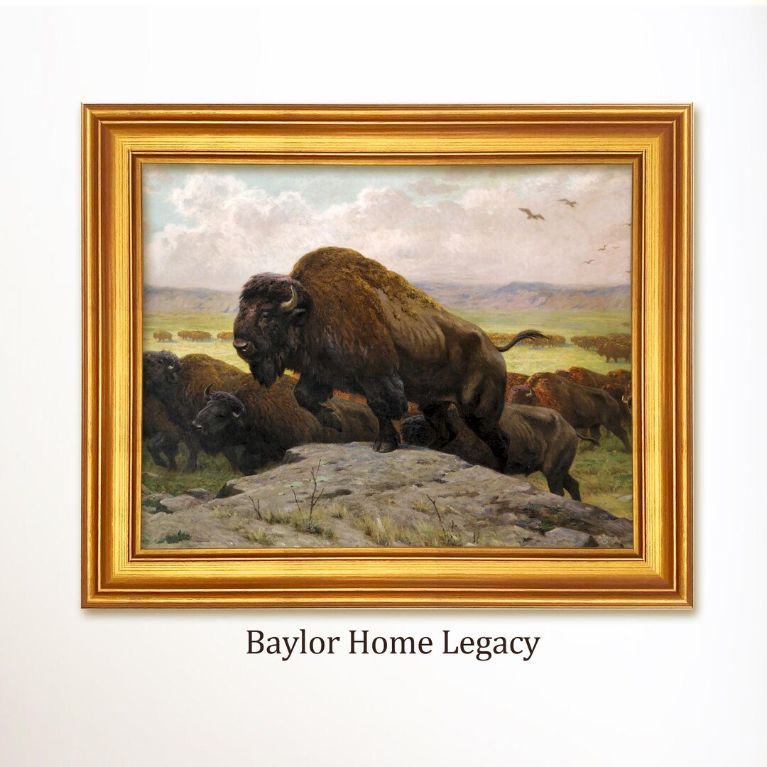 Framed Buffalo Oil Painting Print on Canvas, Framed Canvas Art Print of ...