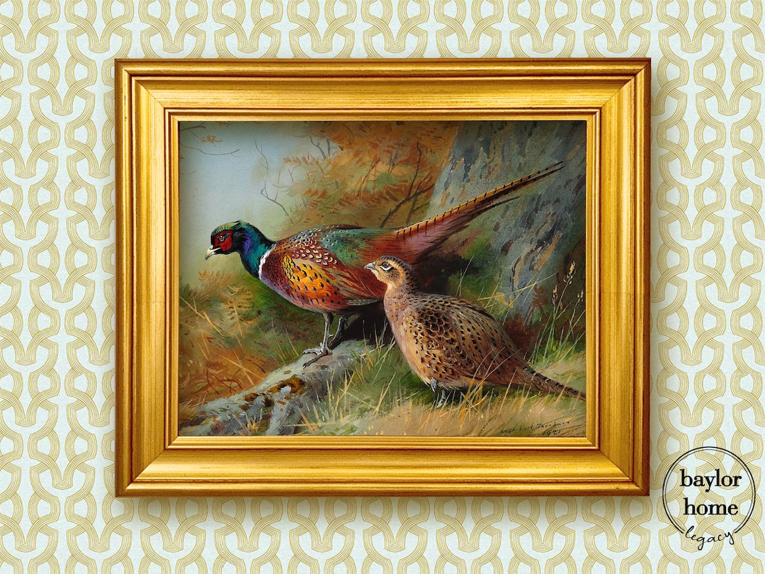 Framed Ring-neck Pheasants in Landscape, Ringneck Pheasant Painting ...