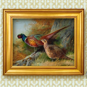 Framed Ring-neck Pheasants in Landscape Ringneck Pheasant - Etsy