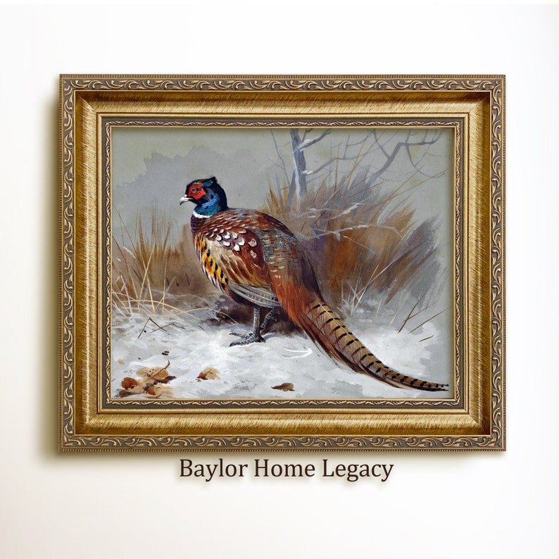 Framed Pheasant Canvas Art Print, Wood Framed Ring Neck Pheasant ...