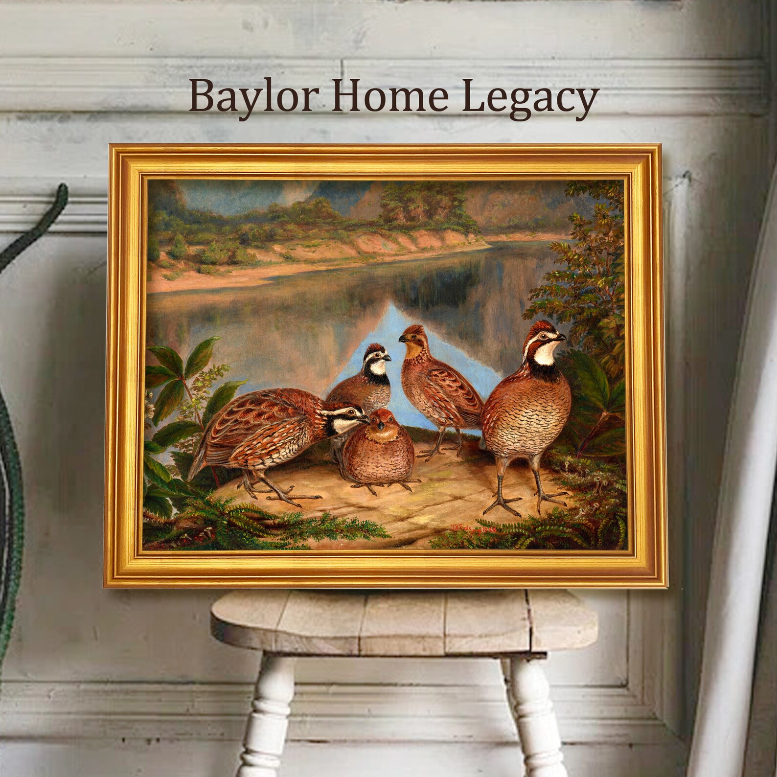 Framed Bobwhite Quail in River Landscape, Oil Painting Print on Canvas ...