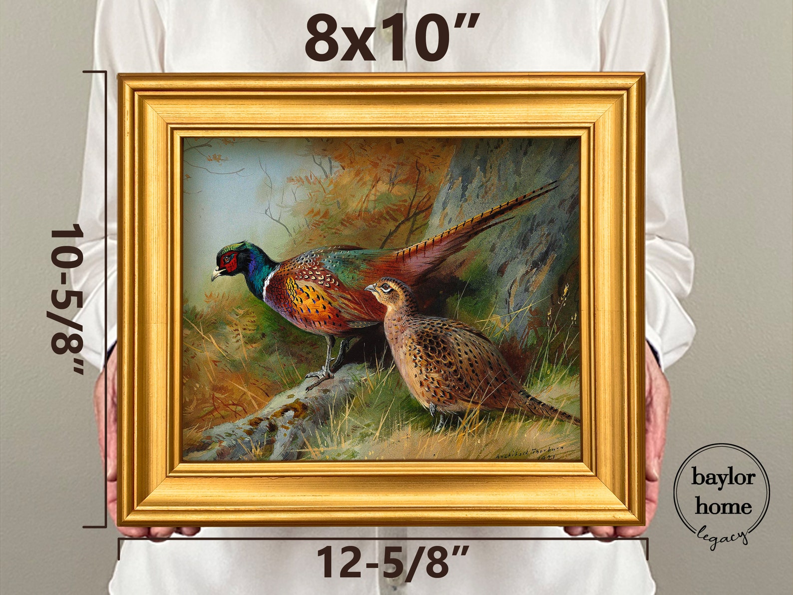 Framed Ring-neck Pheasants in Landscape Ringneck Pheasant - Etsy