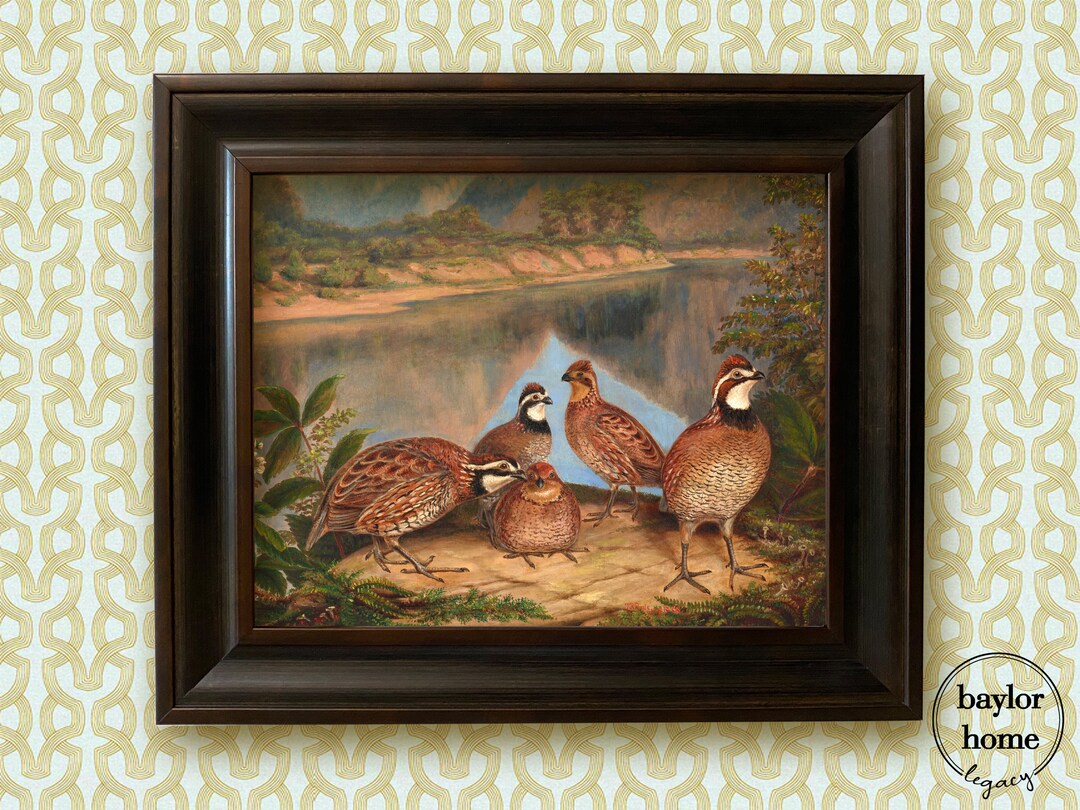 Framed Bobwhite Quail in River Landscape, Oil Painting Print on Canvas ...