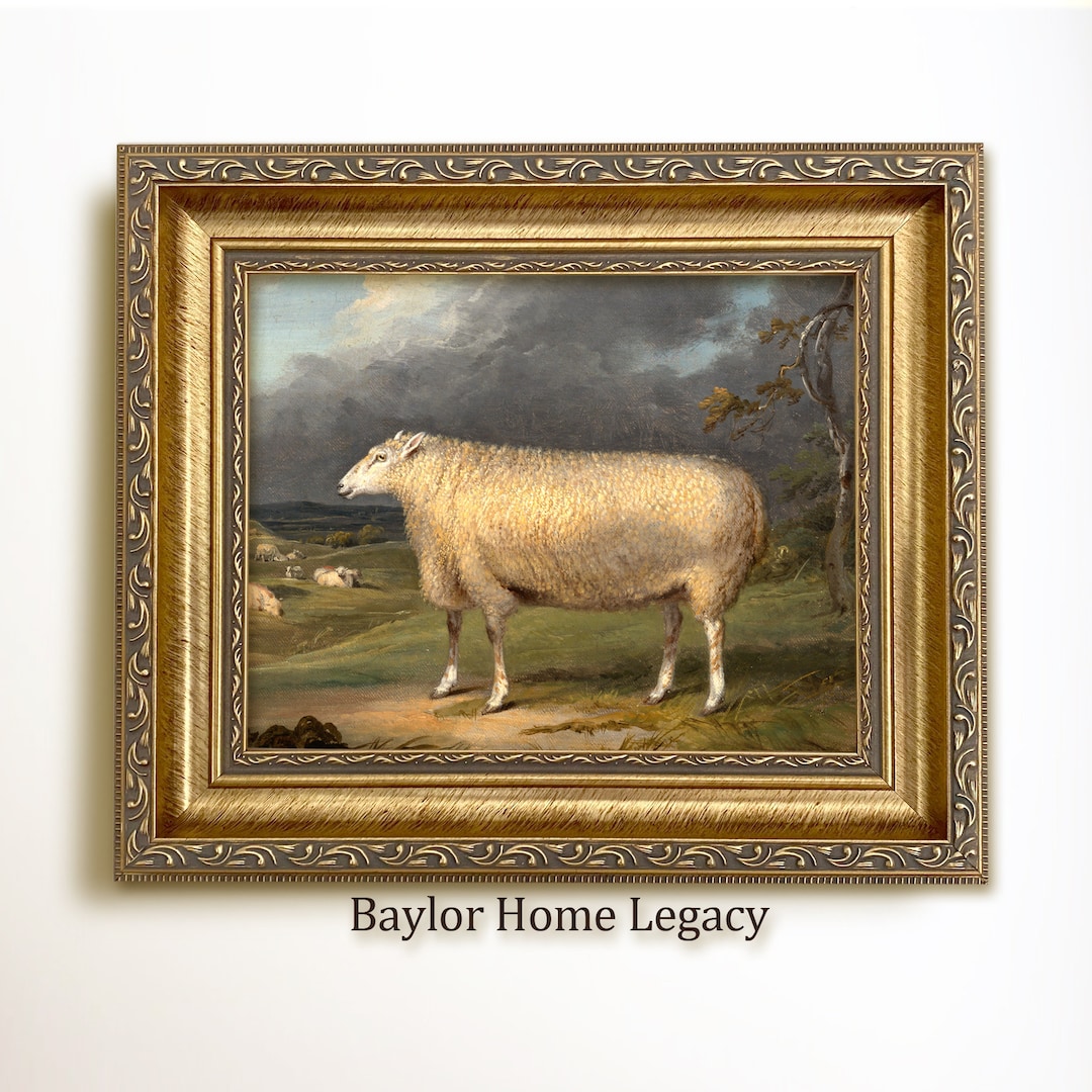 Framed Sheep Oil Painting Print on Canvas, Framed Sheep Canvas Art ...