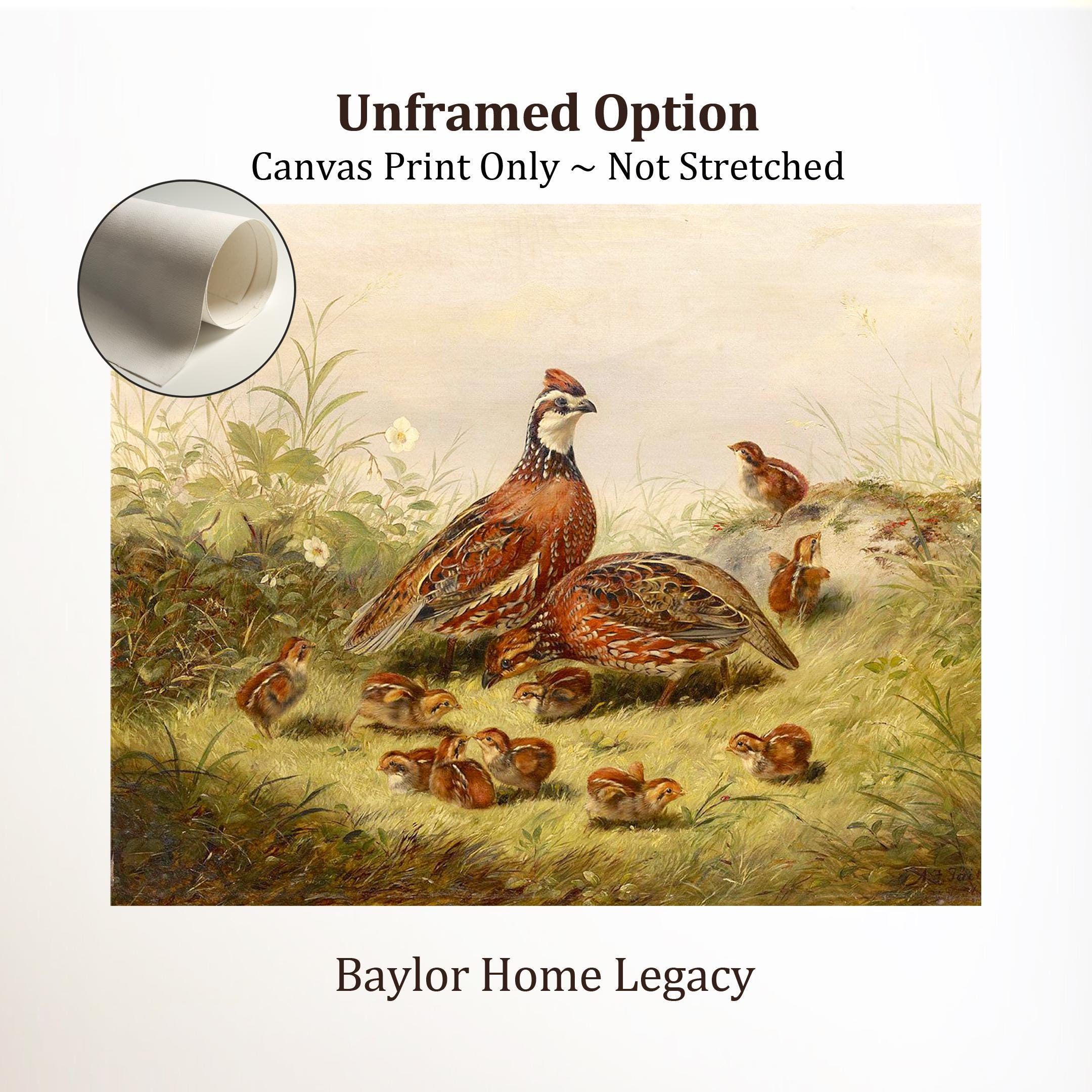 Framed Bobwhite Quail and Chicks, Oil Painting Print on Canvas, Wood ...