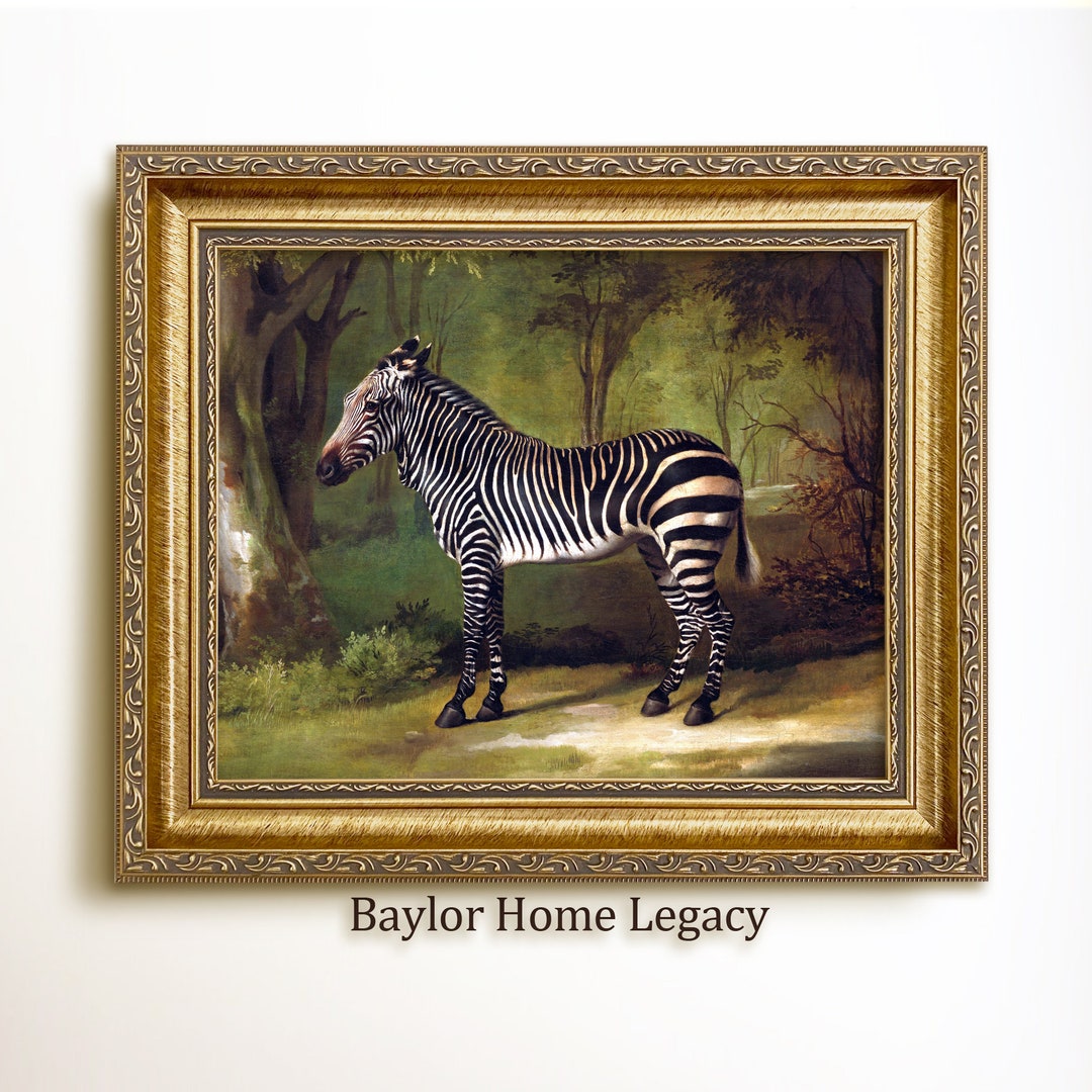 Framed Zebra Oil Painting Print on Canvas, Framed Zebra Painting, Zebra ...