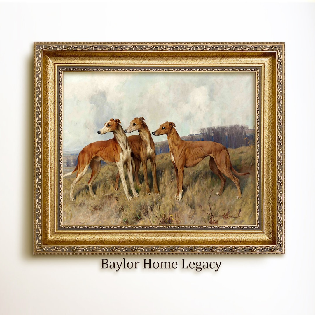 Framed Greyhound Oil Painting Print on Canvas, Canvas Art Print of ...