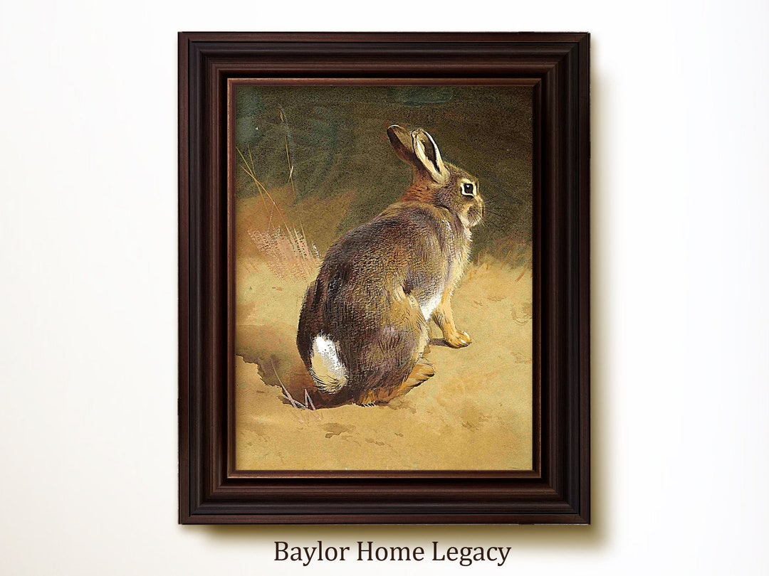 Framed Rabbit Painting Canvas Print, Vintage Watercolor Bunny Art Print ...