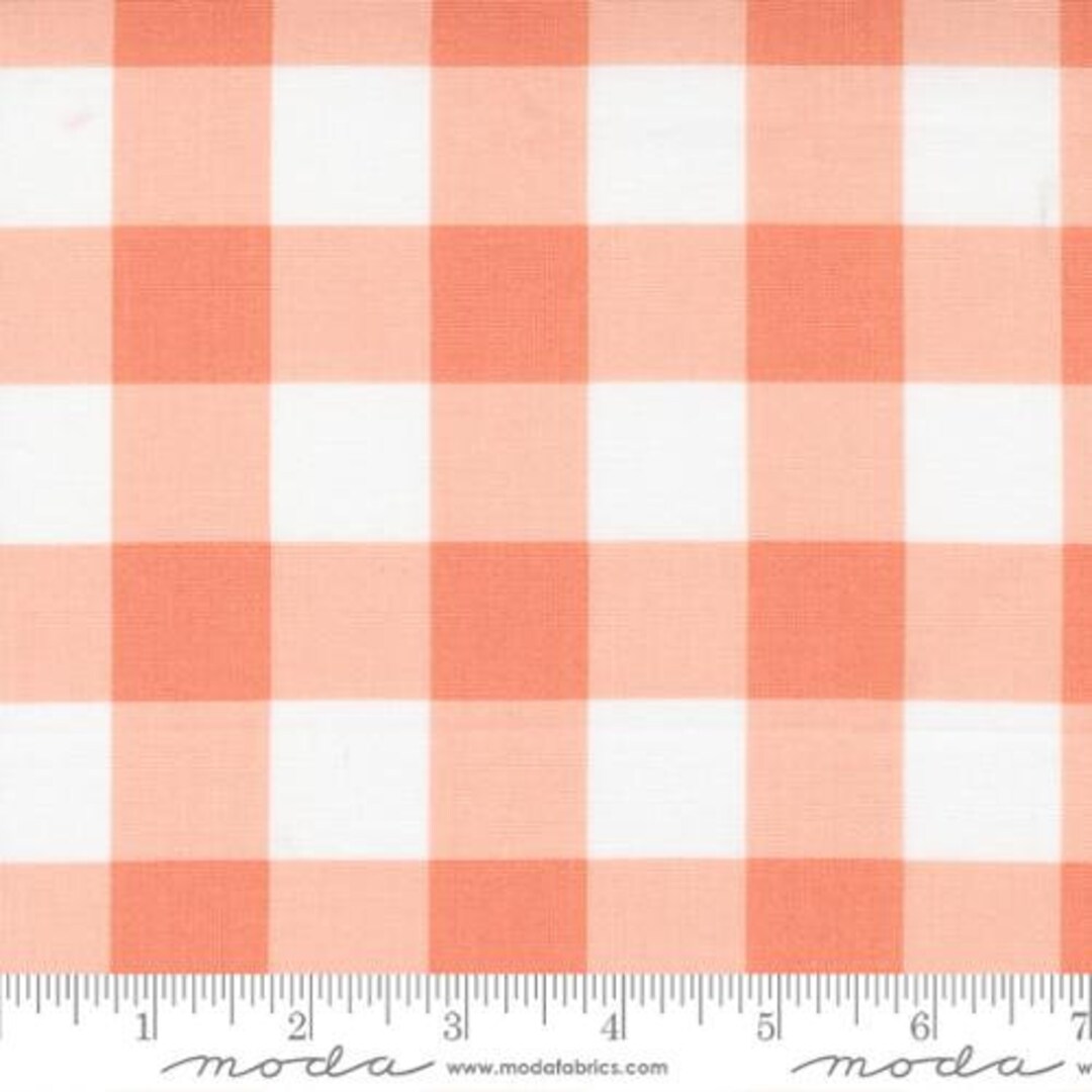 SUNWASHED | Coral Check by Corey Yoder for Moda Fabrics | 29165-18 | 1/ ...