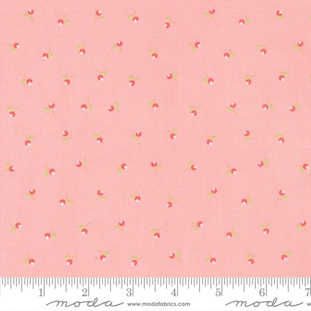 SUNWASHED | Carnation Bittie Buds by Corey Yoder for Moda Fabrics ...