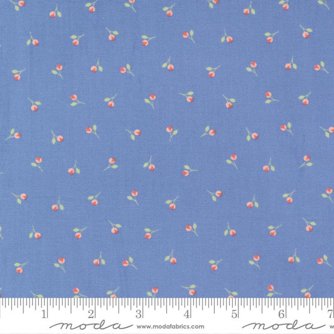 SUNWASHED | Sky Bittie Buds by Corey Yoder for Moda Fabrics | 29164-20 ...