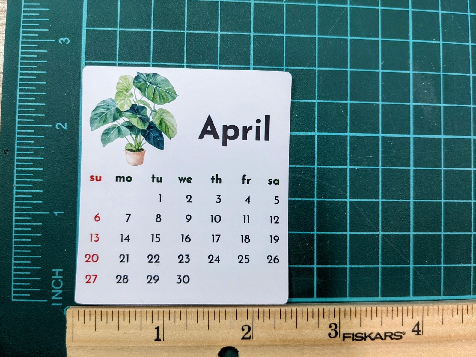 2025 House Plant Calendar Stickers: Mini Planner Journal Stickers - Etsy