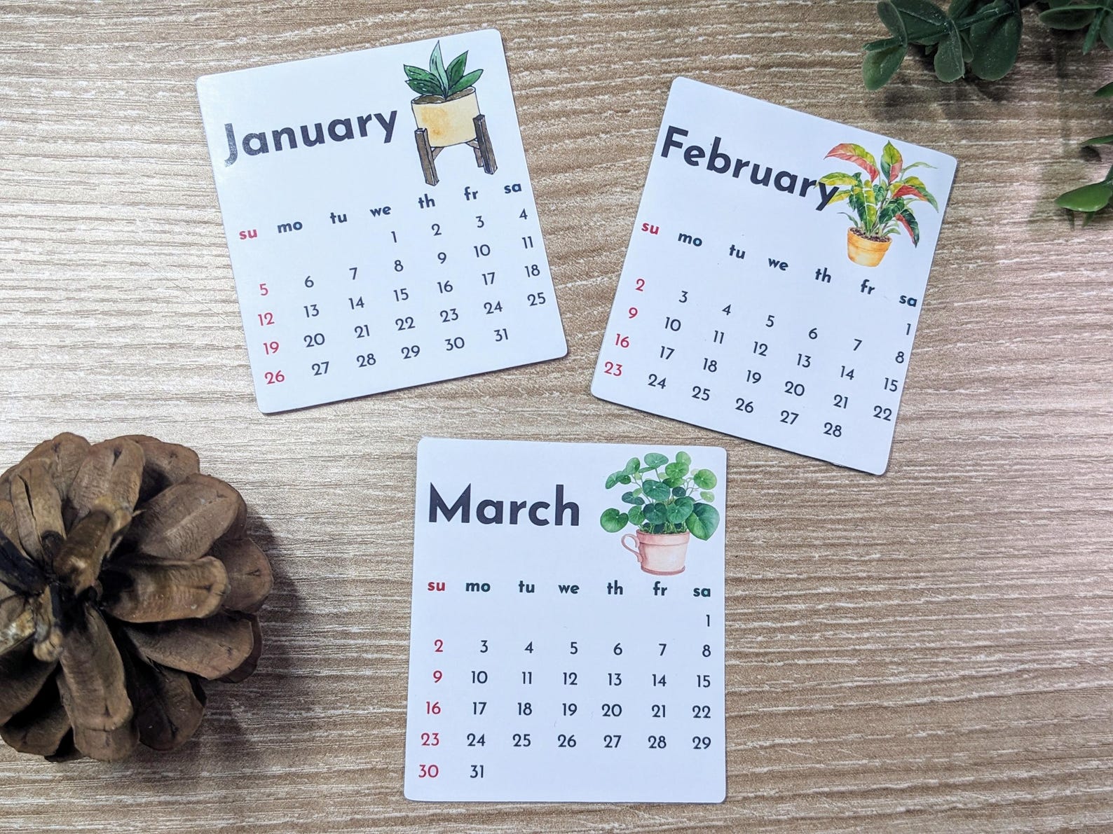 2025 House Plant Calendar Stickers: Mini Planner Journal Stickers - Etsy