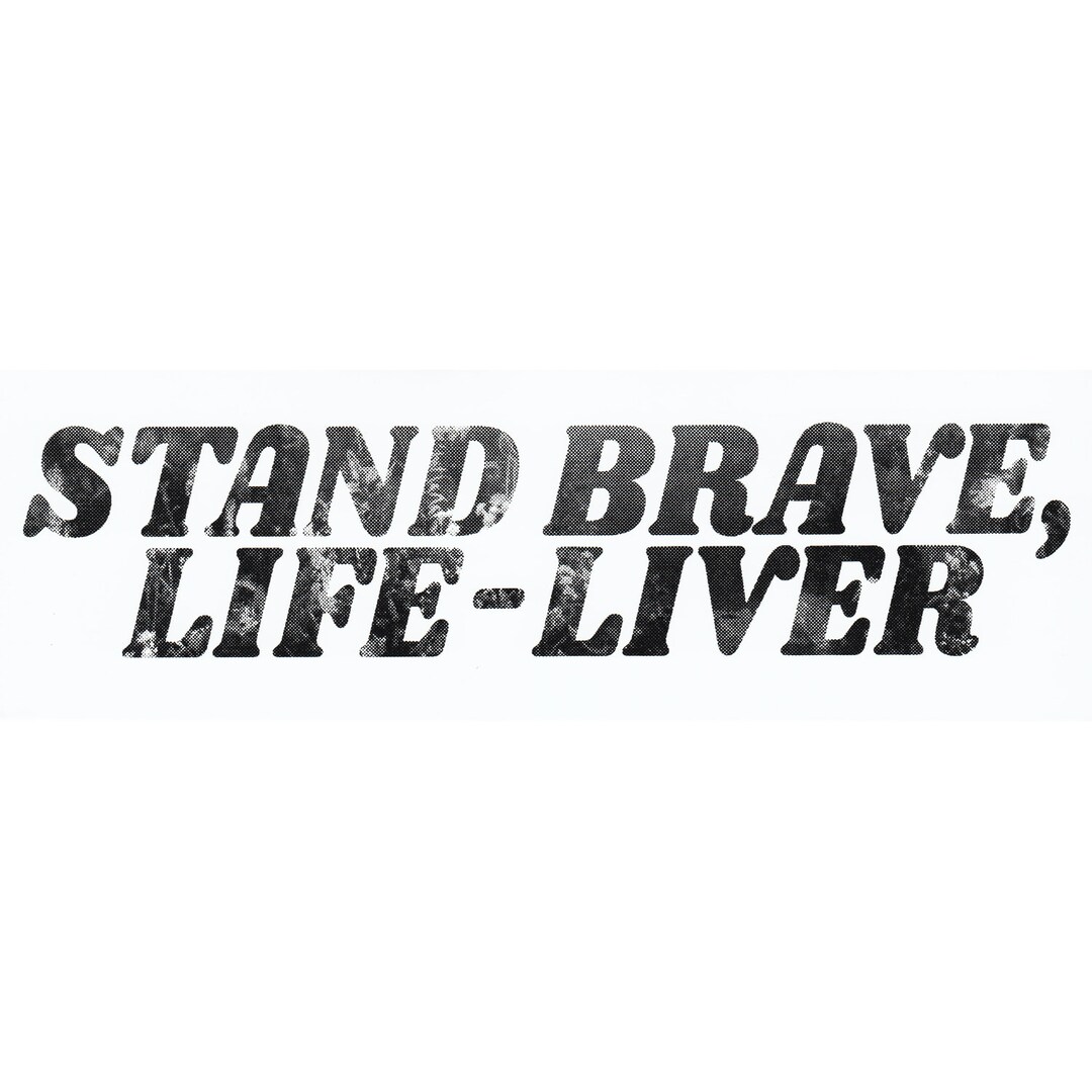 Joanna Newsom "stand Brave, Life Liver" Bumper Sticker - Etsy