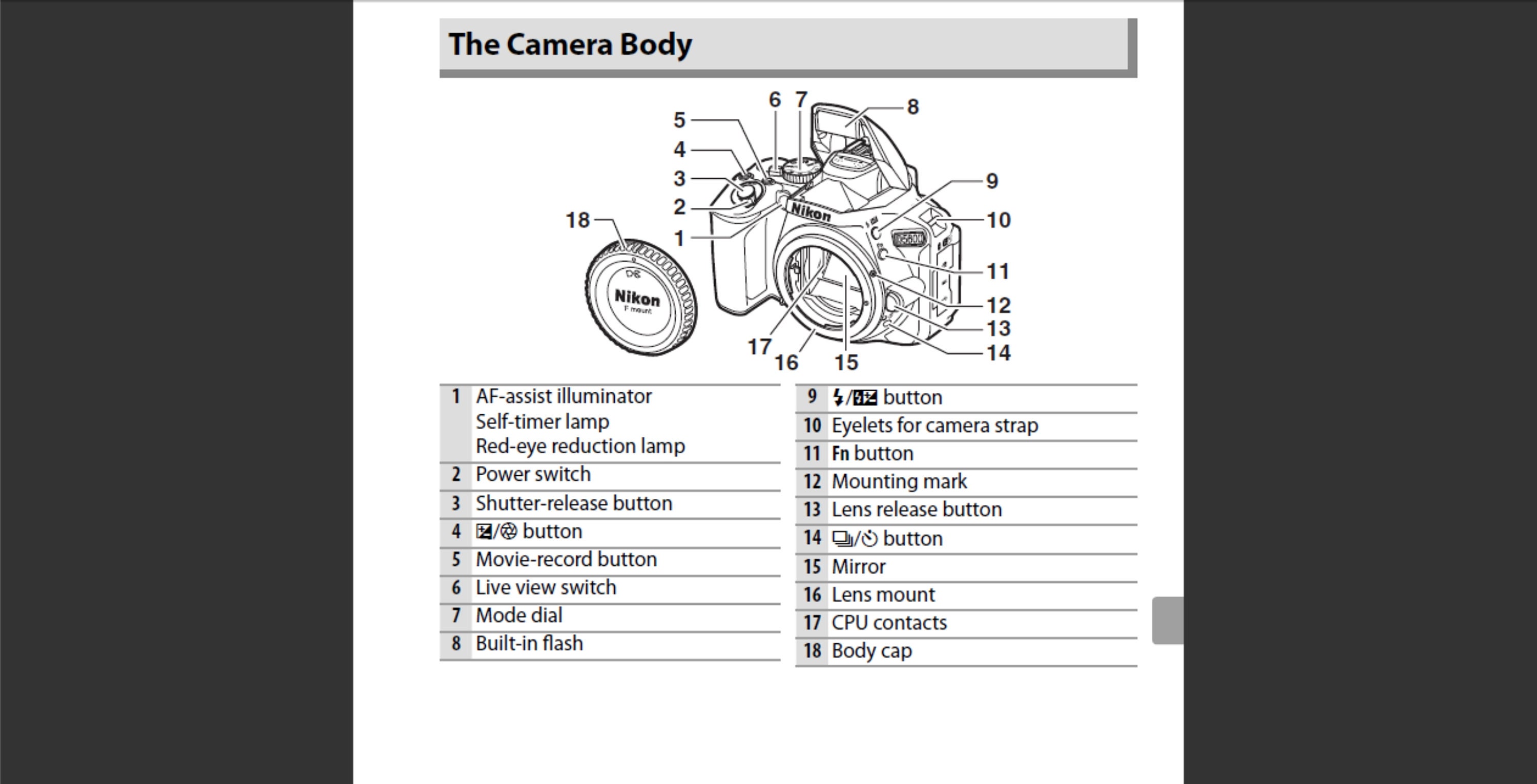 Nikon D5600 User Owners Manual PDF Digital Download - Etsy Australia