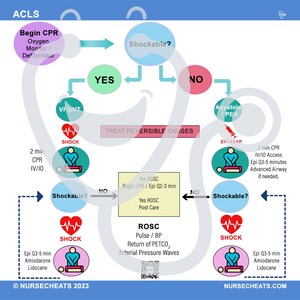 ACLS Algorithm Badge for Nurses - Etsy