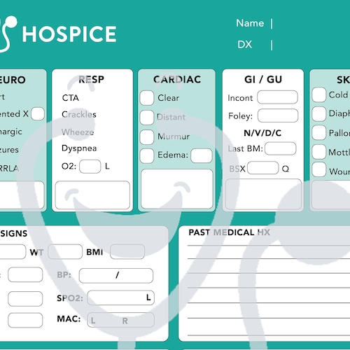 Hospice Assessment Form Purple - Etsy