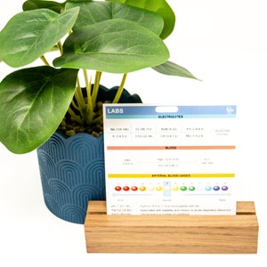 Lab Values Badge for Nurses - Etsy