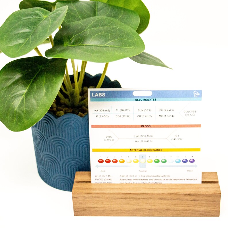 Lab Values Badge for Nurses - Etsy