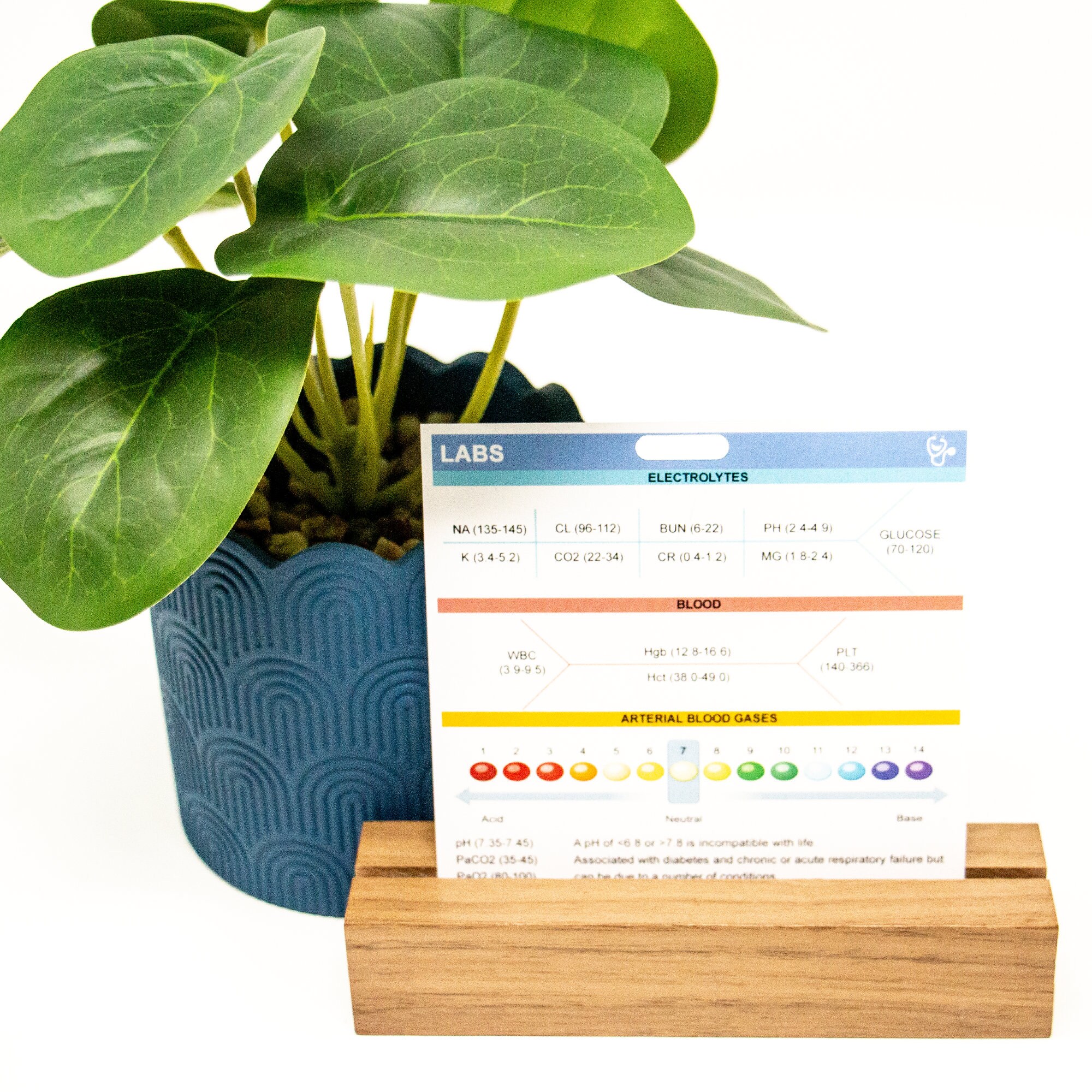 Lab Values Badge for Nurses - Etsy