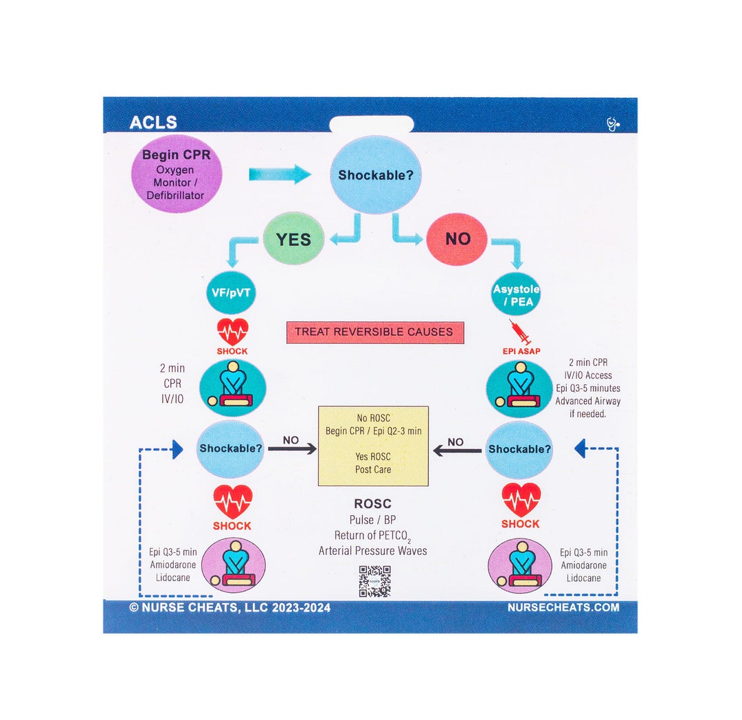 ACLS Algorithm Badge for Nurses - Etsy