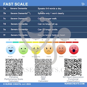 Hospice FAST Scale Badge Companion - Etsy