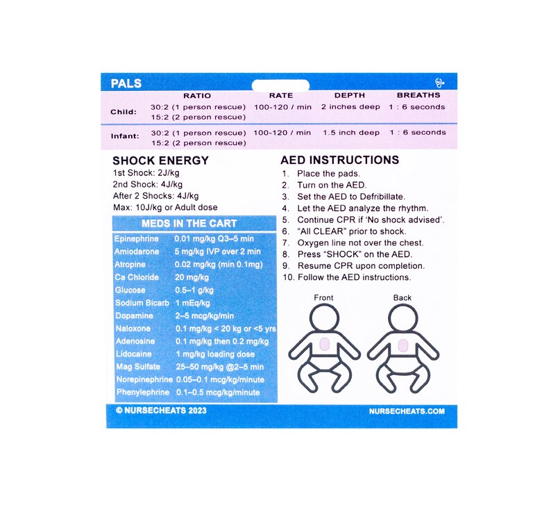 PALS Algorithm Badge - Etsy