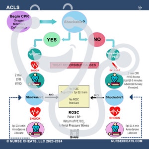 ACLS Algorithm Badge for Nurses - Etsy
