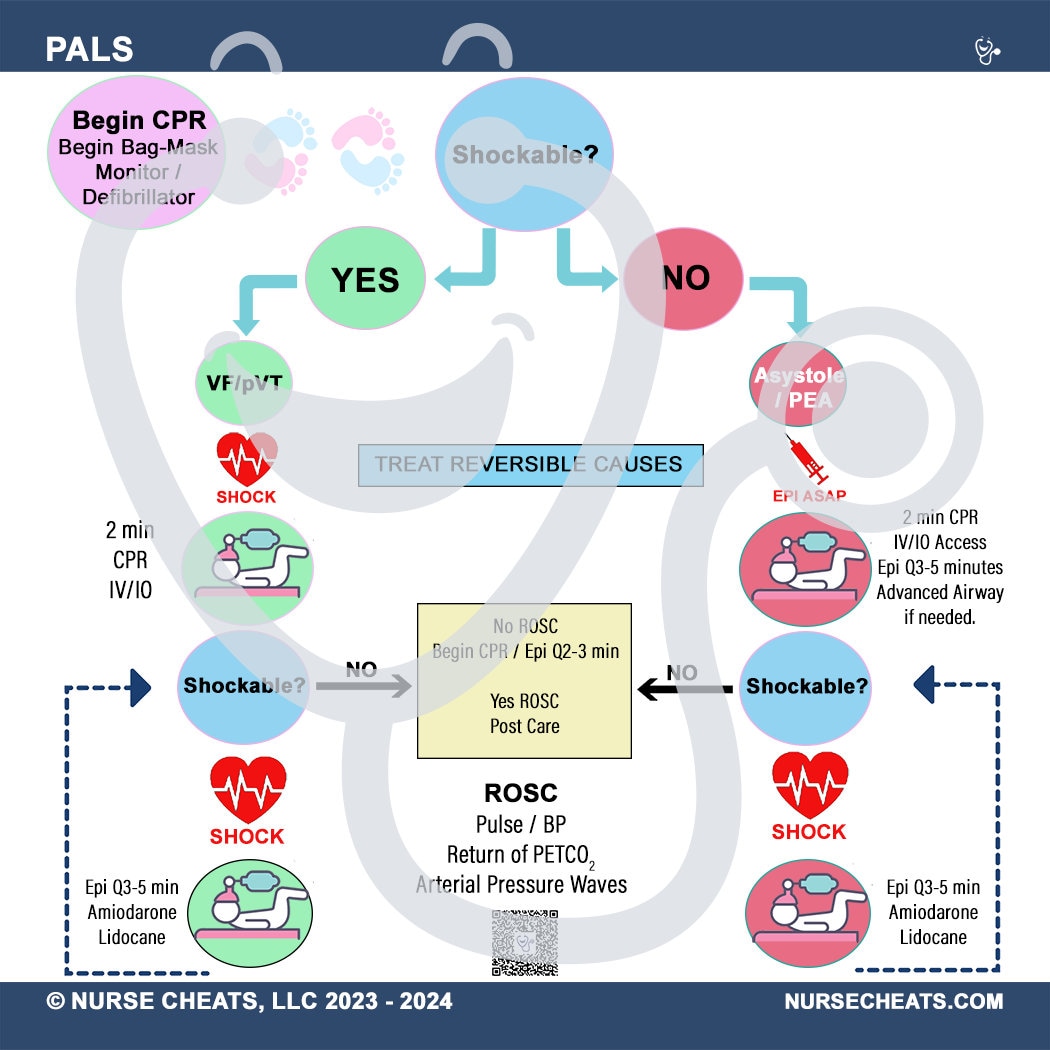 PALS Algorithm Badge - Etsy