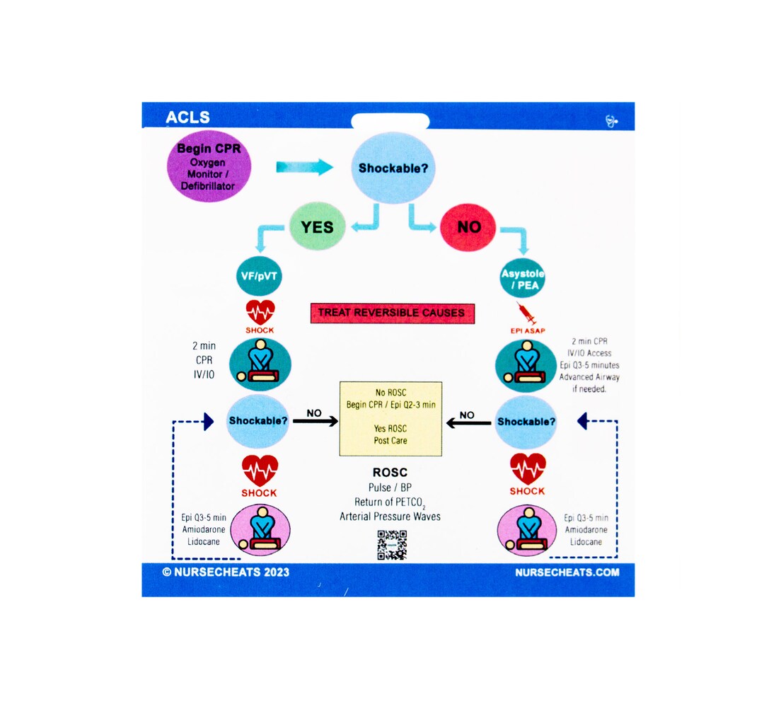 ACLS Algorithm Badge for Nurses - Etsy