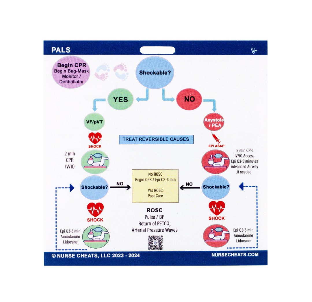 PALS Algorithm Badge - Etsy